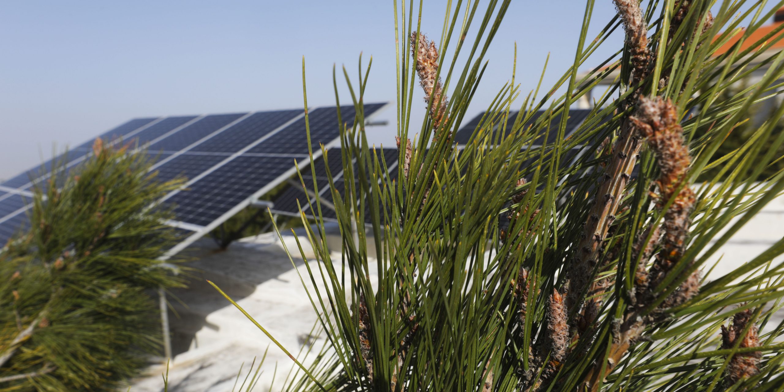 Kypros - Solar Solutions In Lebanon